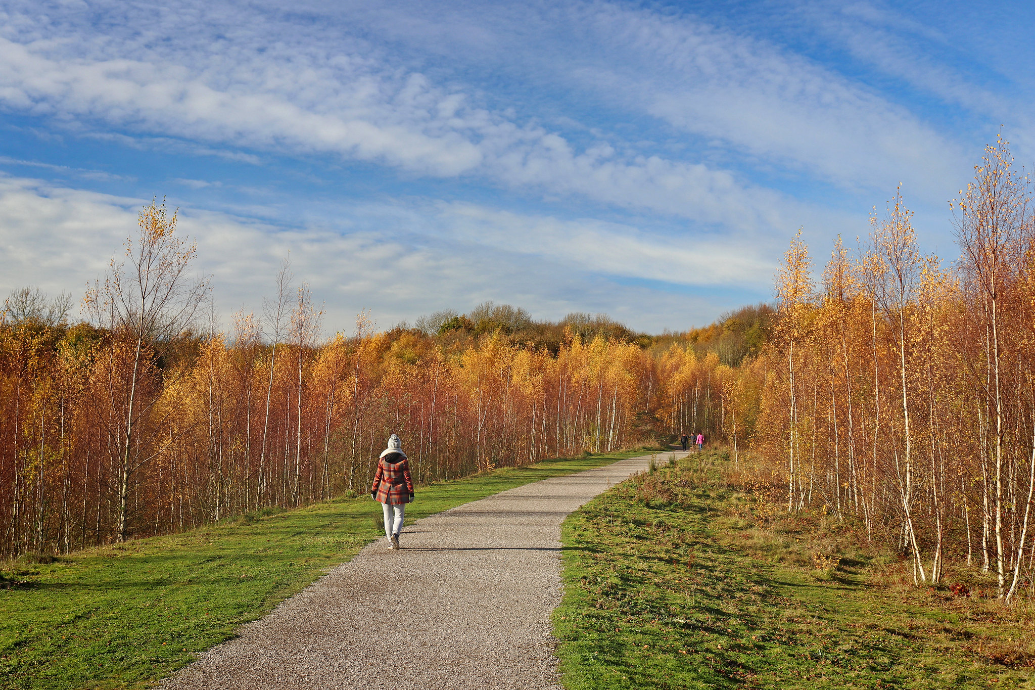 Five of our favourite dog-friendly walks in Nottinghamshire ...